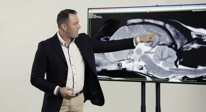 ELEARNING.VET - Continuous Learning For Veterinary Professionals